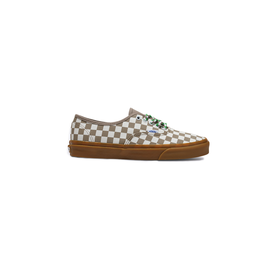 Authentic CHECKERBOARD MOON ROCK